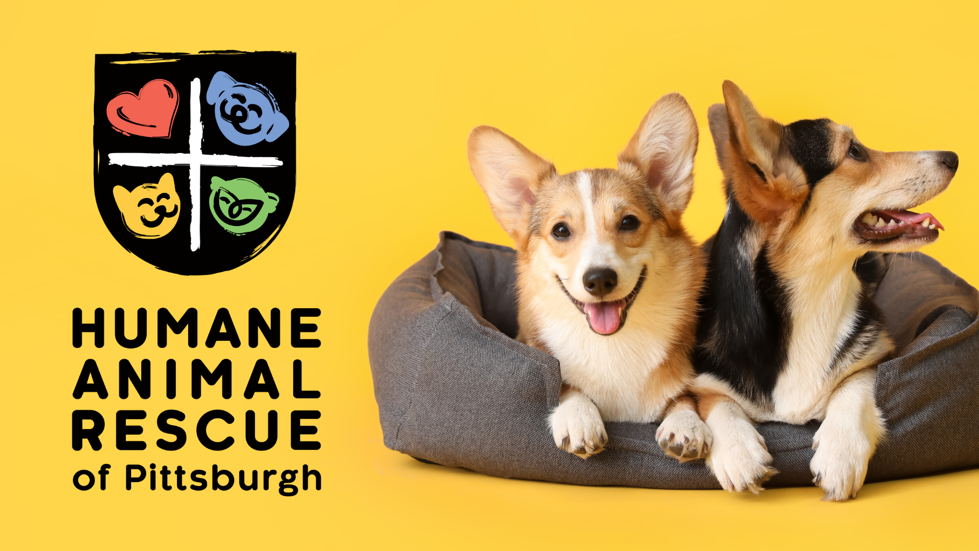 Humane Animal Rescue of Pittsburgh Hosts Pet Supply Distribution