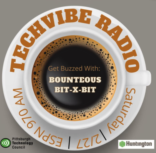 TechVibe Talks to Bounteous and bit-x-bit