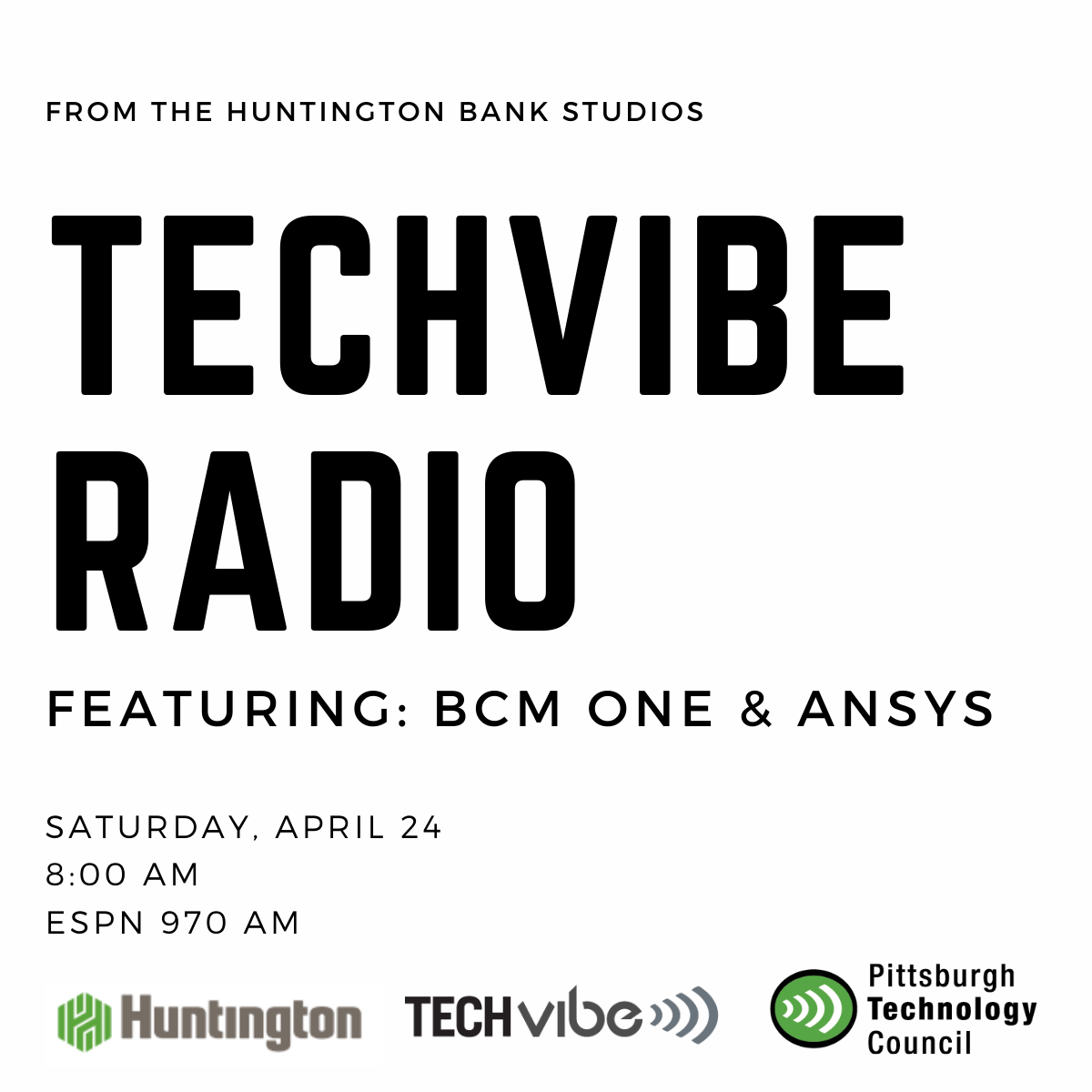 TechVibe Talks to BCM One and ANSYS
