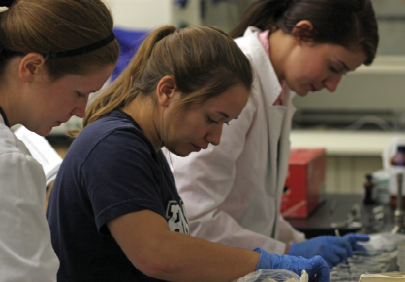 Robert Morris University's School of Engineering, Math & Science ...