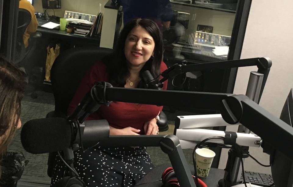 TechVibe Radio Talks to SDLC Partners, Ellen Freeman Immigration and ...