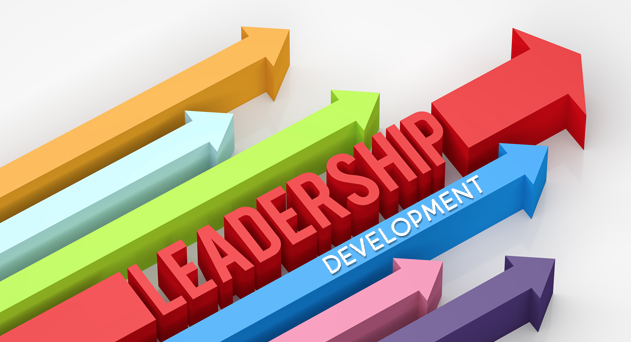 Retooling Leadership Development: Driving Business Results with ...